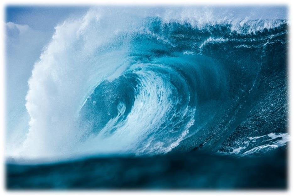 HOW TO NAVIGATE THROUGH THE TIDAL WAVE - VZD Capital
